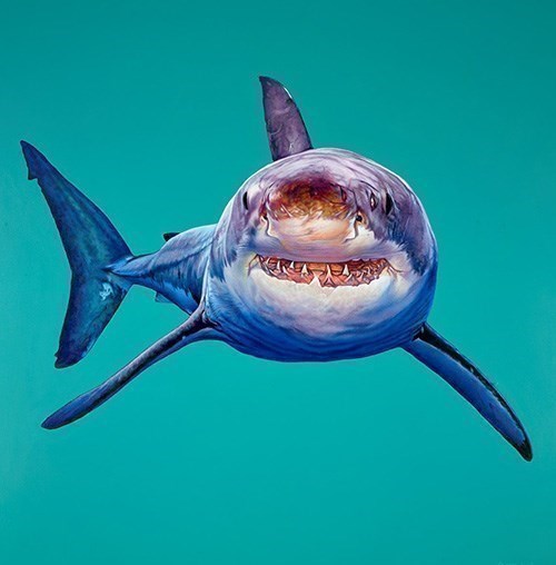 Christopher Green – Trew Art